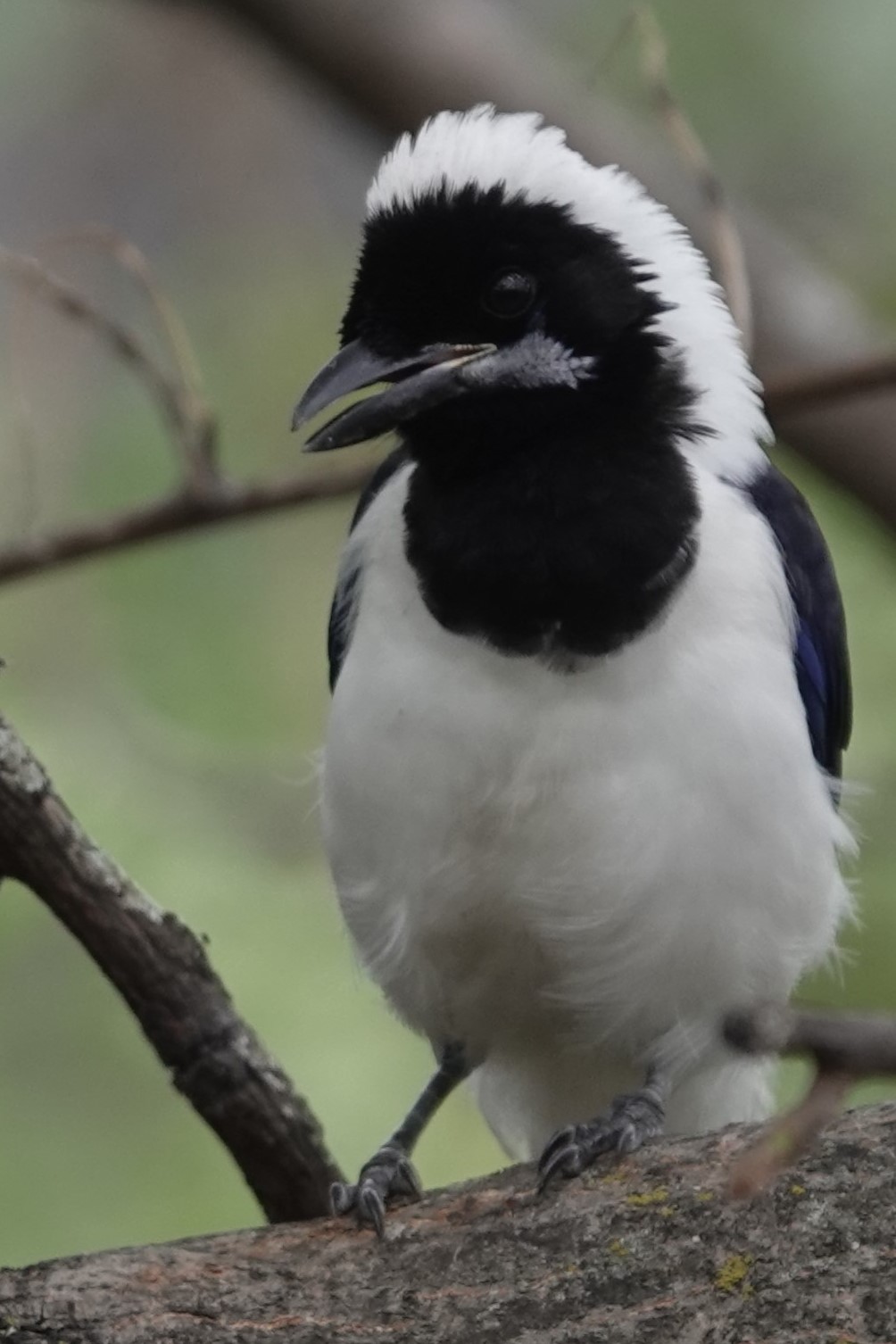 Northern Peru – The 7k by 80 Project